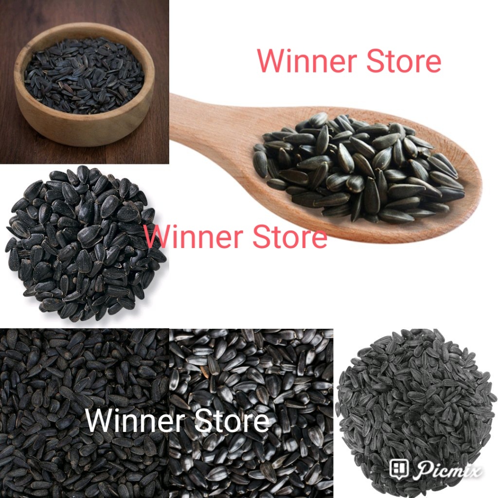 Jual Bibit Benih Bunga Sunflower Matahari Hitam (± 2 Butir) | Shopee ...
