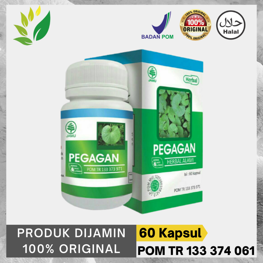 Jual Kapsul Pegagan HIU Membantu Memperlancar Peredaran Darah ...