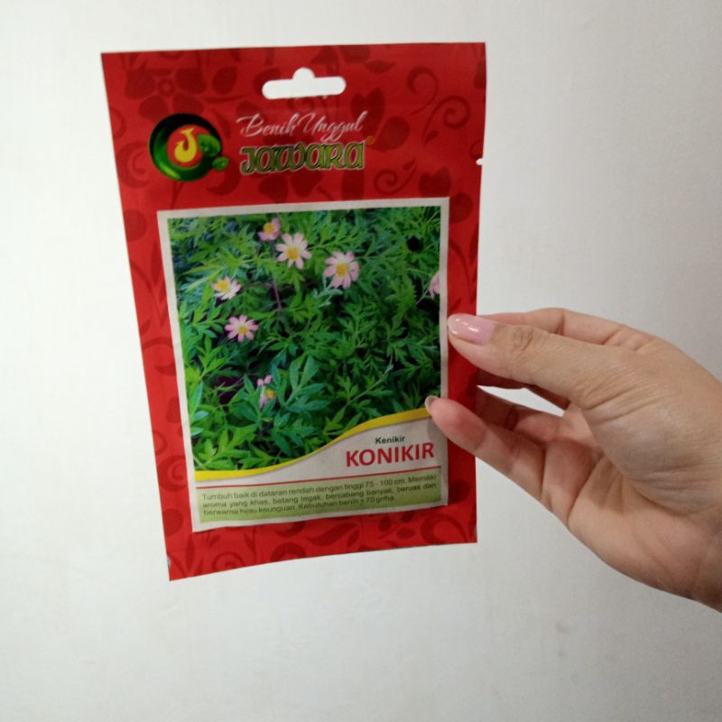 Jual benih seledri asli kemasan sesuai Poto isi banyak | Shopee Indonesia