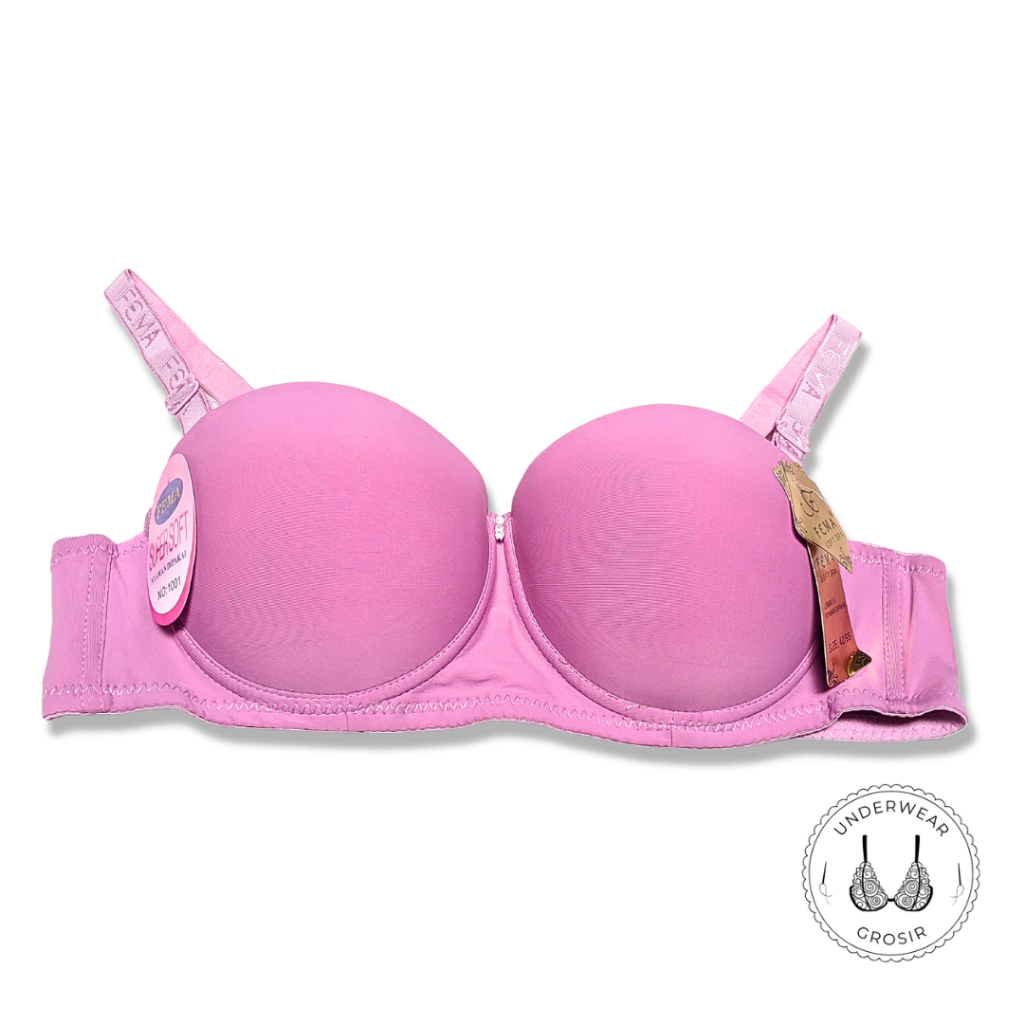 Jual Bra Wanita Fema 1001 Fema 1291 Cup Besar BH Wanita Cup C Kait 3 ...