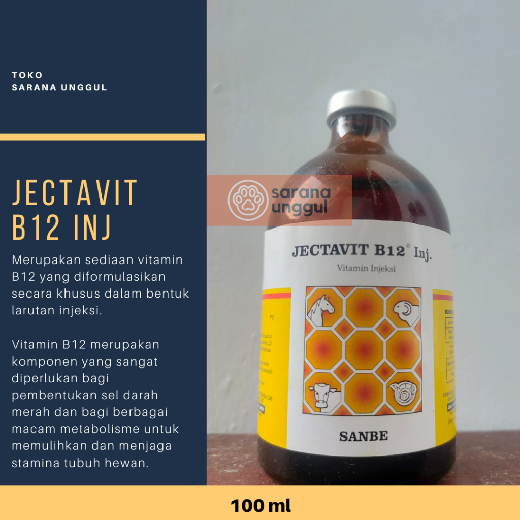 Jual JECTAVIT B12 100 ml Vitamin B12 untuk Sapi, Kambing, Babi, Anjing ...