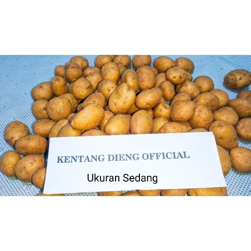 Jual Kentang Dieng (Ukuran Sedang) | Shopee Indonesia