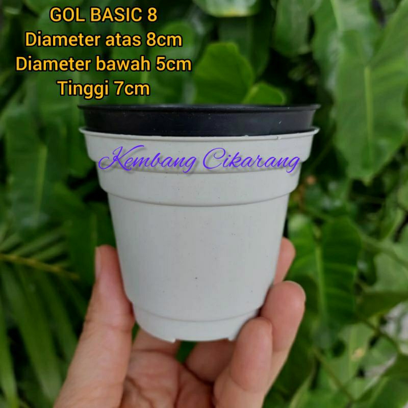 Jual (1pc) GOL BASIC 8 (8cm) : pot bunga basic biasa pot semai pot ...