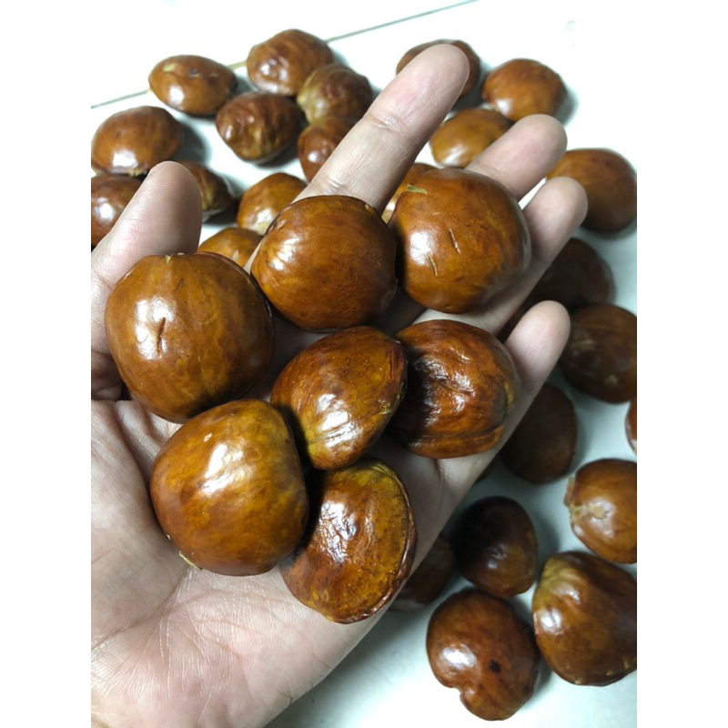 Jual JENGKOL JAWA 1 kg | Shopee Indonesia