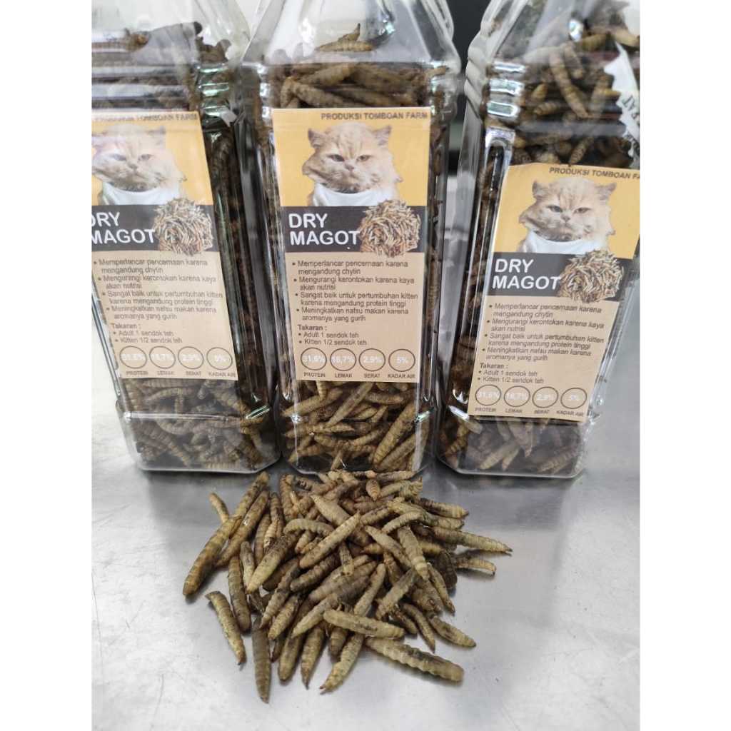 Jual Dry Magot Kering untuk Hewan 25 gram | Shopee Indonesia
