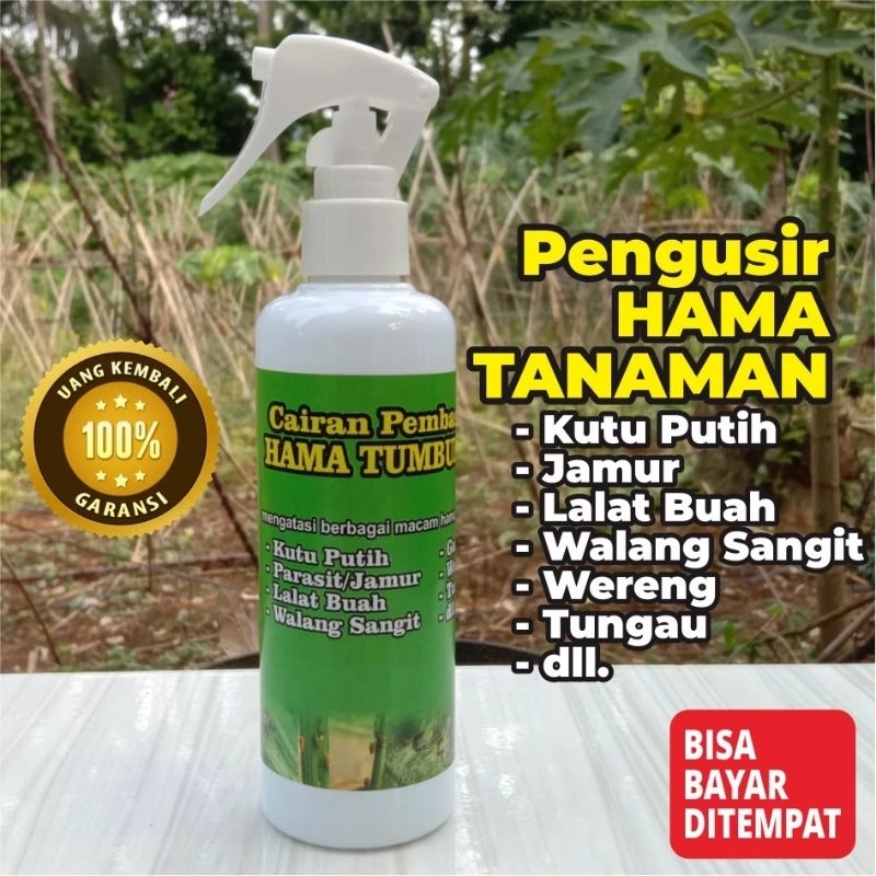 Jual PEMBASMI HAMA TANAMAN 250 Ml | KUTU PUTIH | PARASIT | LALAT BUAT ...