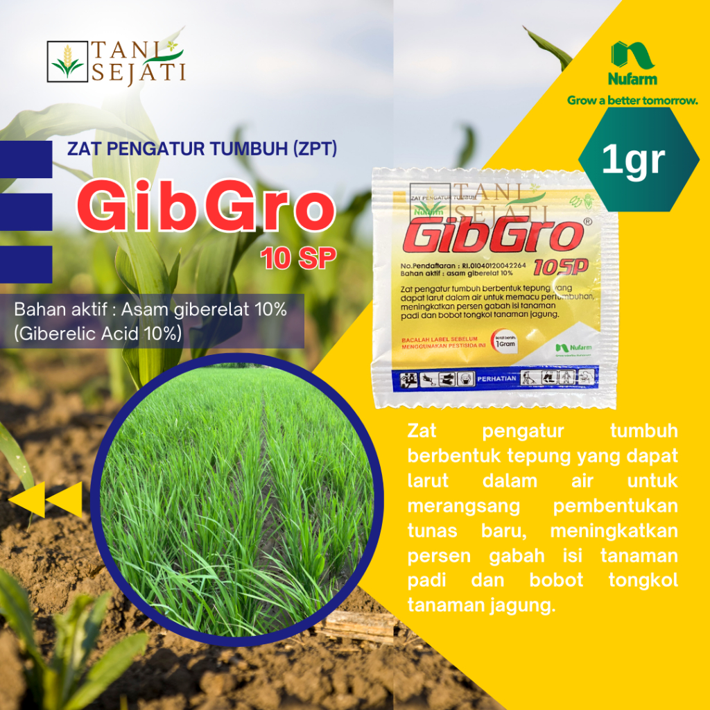 Jual GibGro 10 SP ZPT GA3 1 Gram Asam Giberelat (Giberelic Acid ...