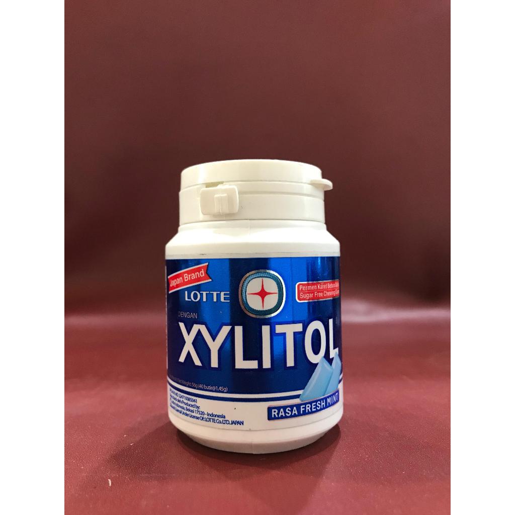 Jual Lotte Xylitol Fresh Mint 58G - Permen Karet Rasa Mint | Shopee ...