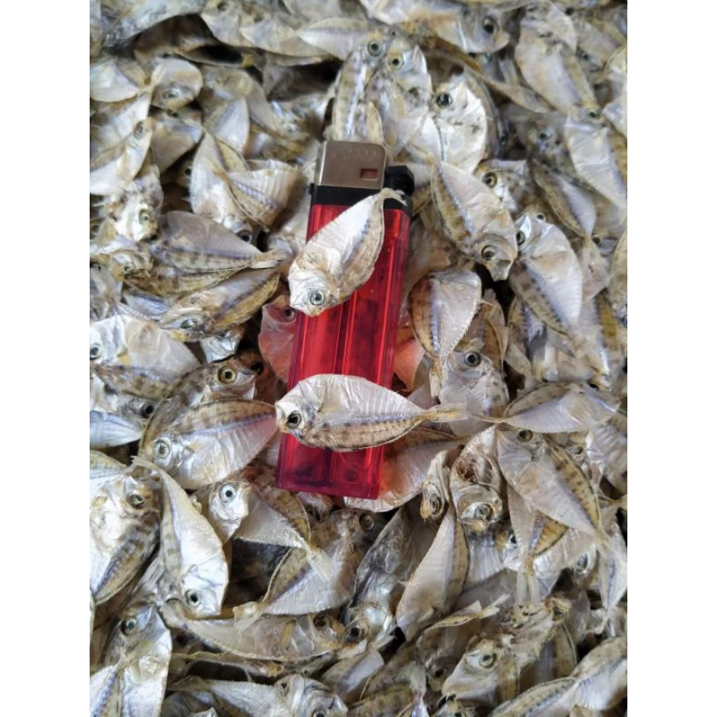 Jual Pirik sayur / pirik kecil | Shopee Indonesia