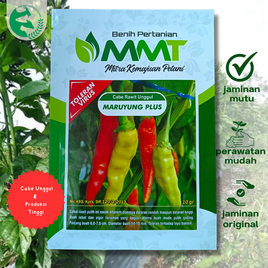 Jual Benih Cabe Rawit Maruyung Plus 10 Gram Cabai Unggul Asli MMT ...