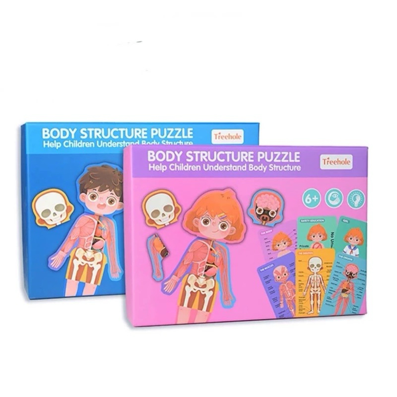 Jual mainan anak body structure puzzle mainan edukasi anak, puzzle ...