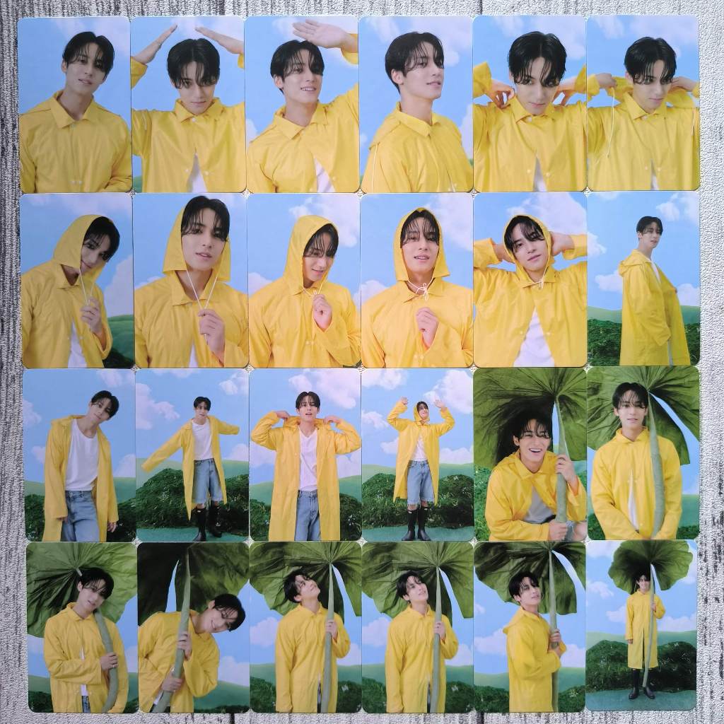 Jual (READY) SEVENTEEN - SEVENTEENTH HEAVEN CARAT VER CARVER PHOTOCARD BOOKLET MINGYU | Shopee ...