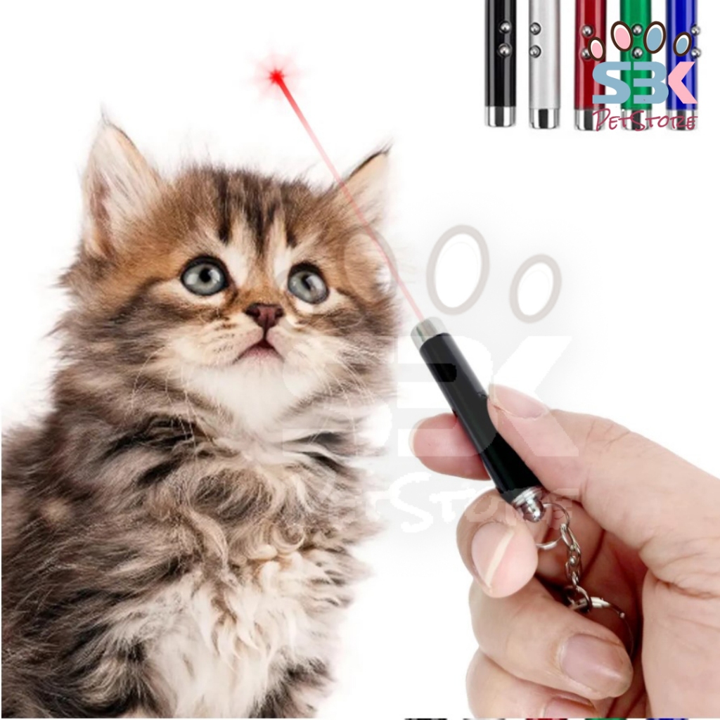 Jual Laser LED Pointer Mainan Kucing Lampu Senter | Shopee Indonesia