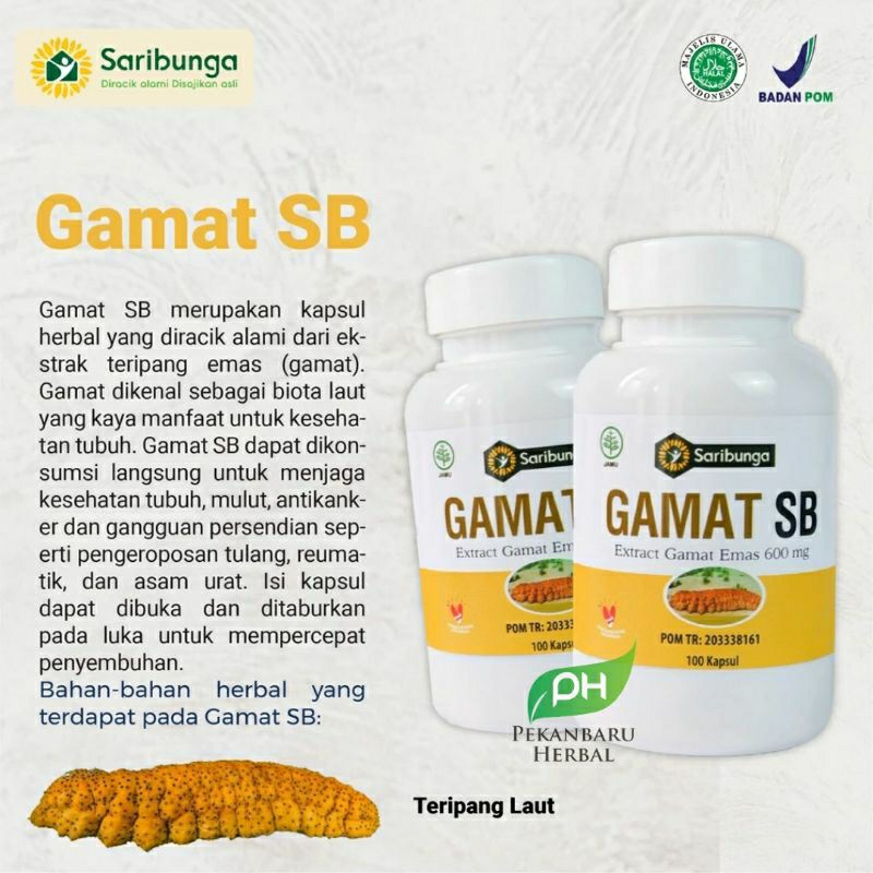Jual Gamat SB Asli Tripang Pilihan Saribunga - Gamat Emas Kapsul ...