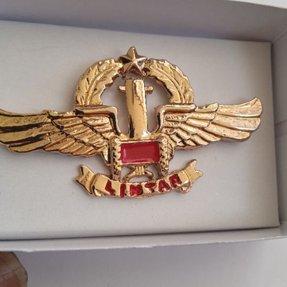 Jual brevet wing pin lencana pdh lintar tni ad | Shopee Indonesia