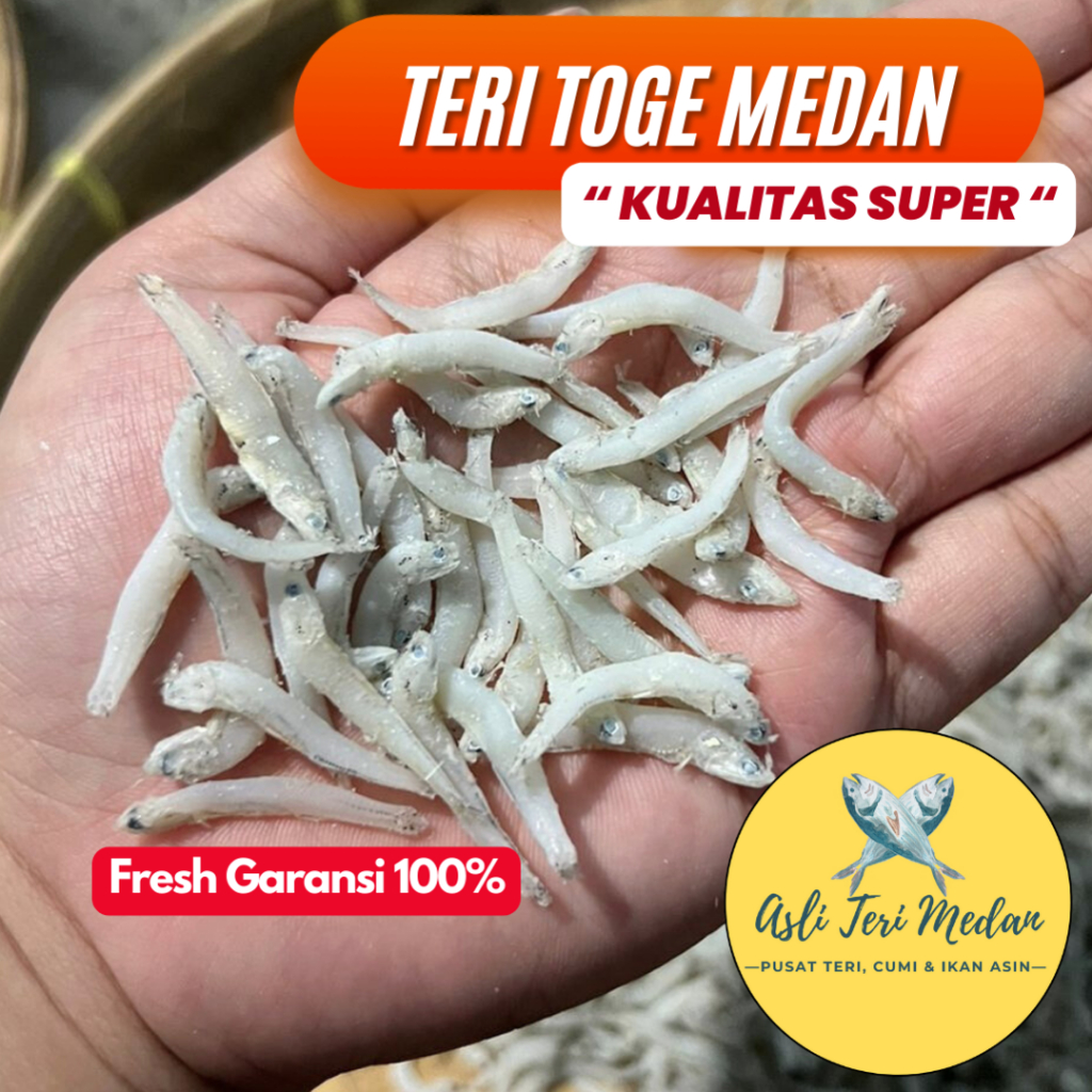 Jual IKAN TERI TOGE MEDAN / TERI TAUGE | KUALITAS SUPER PREMIUM | 500gr ...
