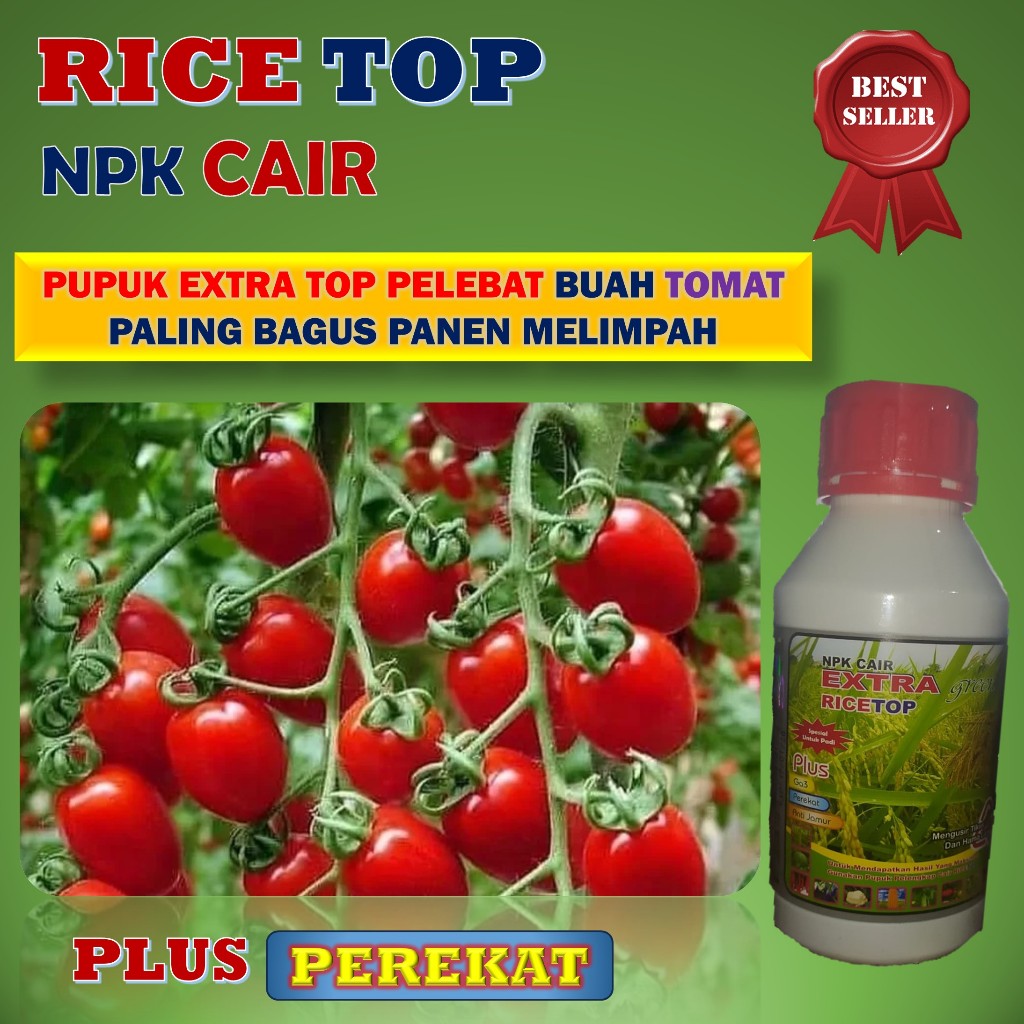 Jual Pupuk tomat berbuah lebat - RICETOP 500ML - Pupuk tomat cepat berbuah - Obat booster buah ...