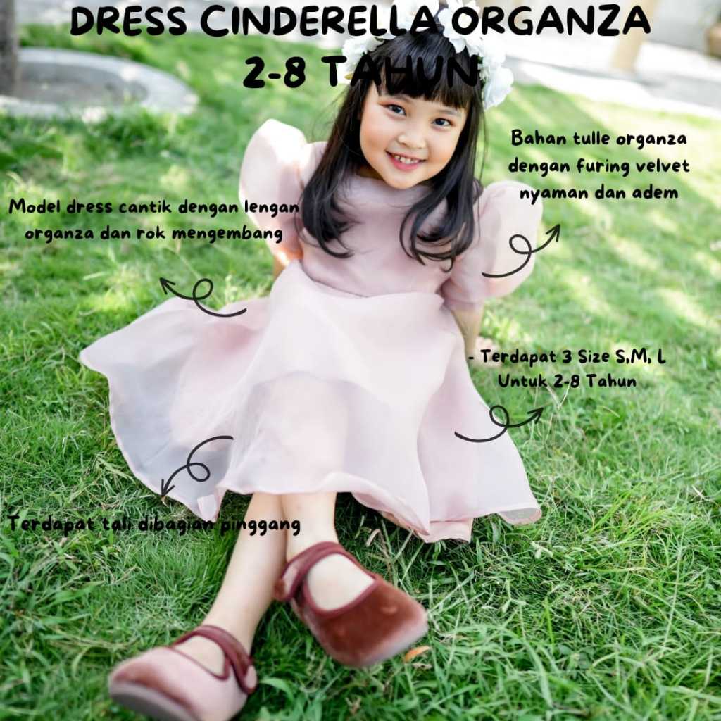 Jual DRESS ANAK ORGANZA DRESS CINDERELLA DRESS ANAK KOREAN STYLE ...