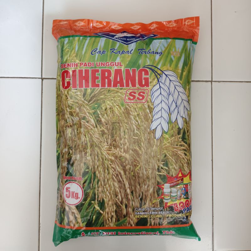 Jual Benih padi CIHERANG SS.dari cap kapal terbang. 5kg | Shopee Indonesia