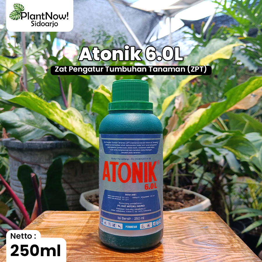 Jual ATONIK 6.0 L Zat Pengatur Tumbuh Tanaman / ZPT ( 250ml ) | Shopee ...