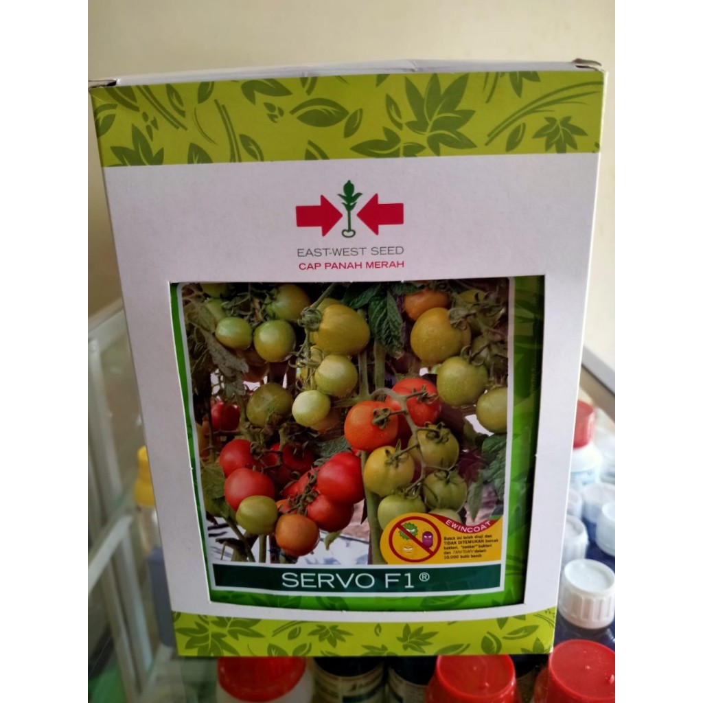 Jual Tomat hibrida servo f1+1750 butir | Shopee Indonesia
