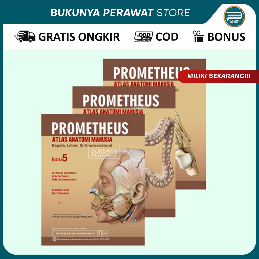 Jual Prometheus Atlas Anatomi Manusia Edisi 5 (SET 3 BUKU) | Shopee Indonesia