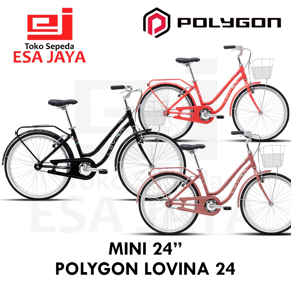 Jual Polygon Lovina 24 Alloy CTB Citybike Perkotaan Sepeda Keranjang ...