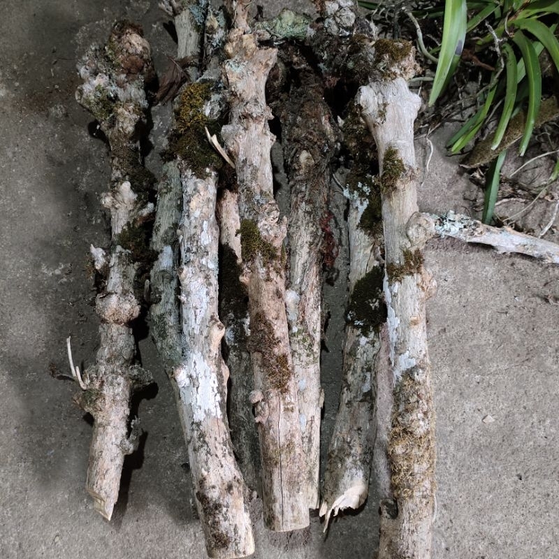 Jual kayu kopi estetik asli alam | Shopee Indonesia