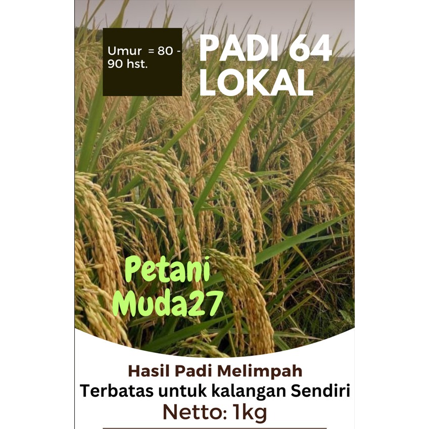 Jual Padi 64 Lokal / Biji Padi Unggul 1kg | Shopee Indonesia