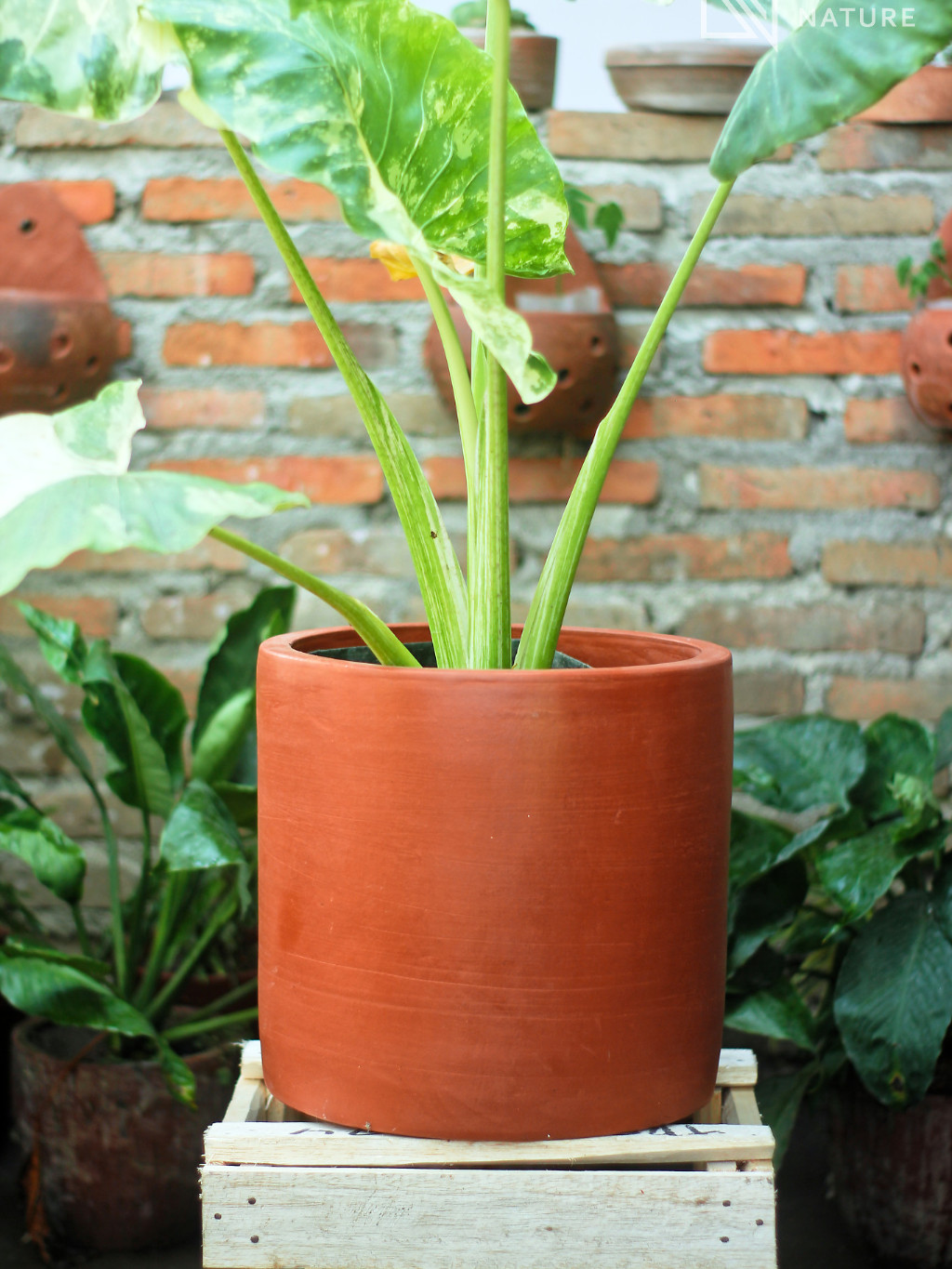 Jual (PJX11) Pot Bunga | Pot Aesthetic | Pot Tanaman | Pot Keramik ...