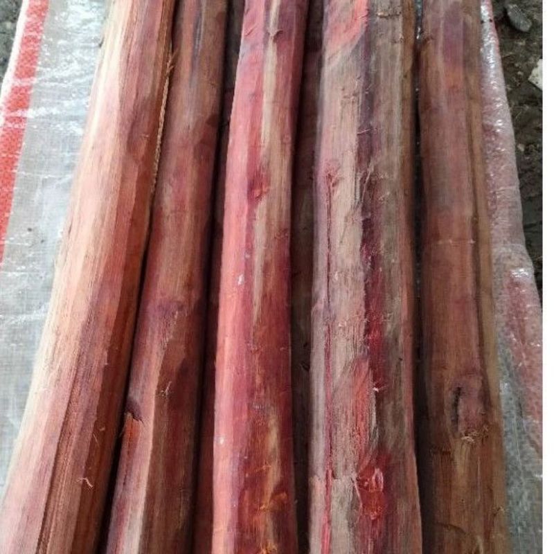 Jual Kayu Secang Glondong | Shopee Indonesia