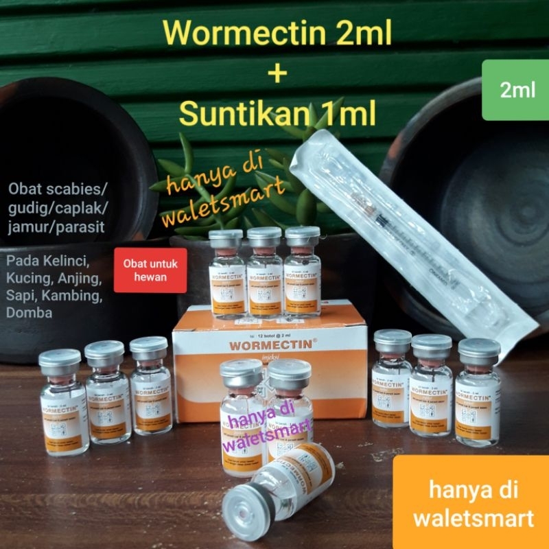 Jual WORMECTIN 2ml + Suntikan Obat Scabies Jamur Parasit Cacing Kudis ...