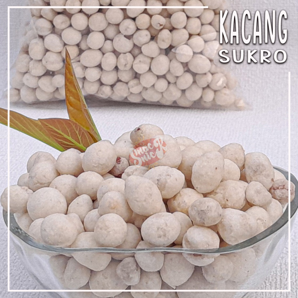 Jual Kacang Sukro 1kg sukro putih kacang atom PREMIUM | Shopee Indonesia