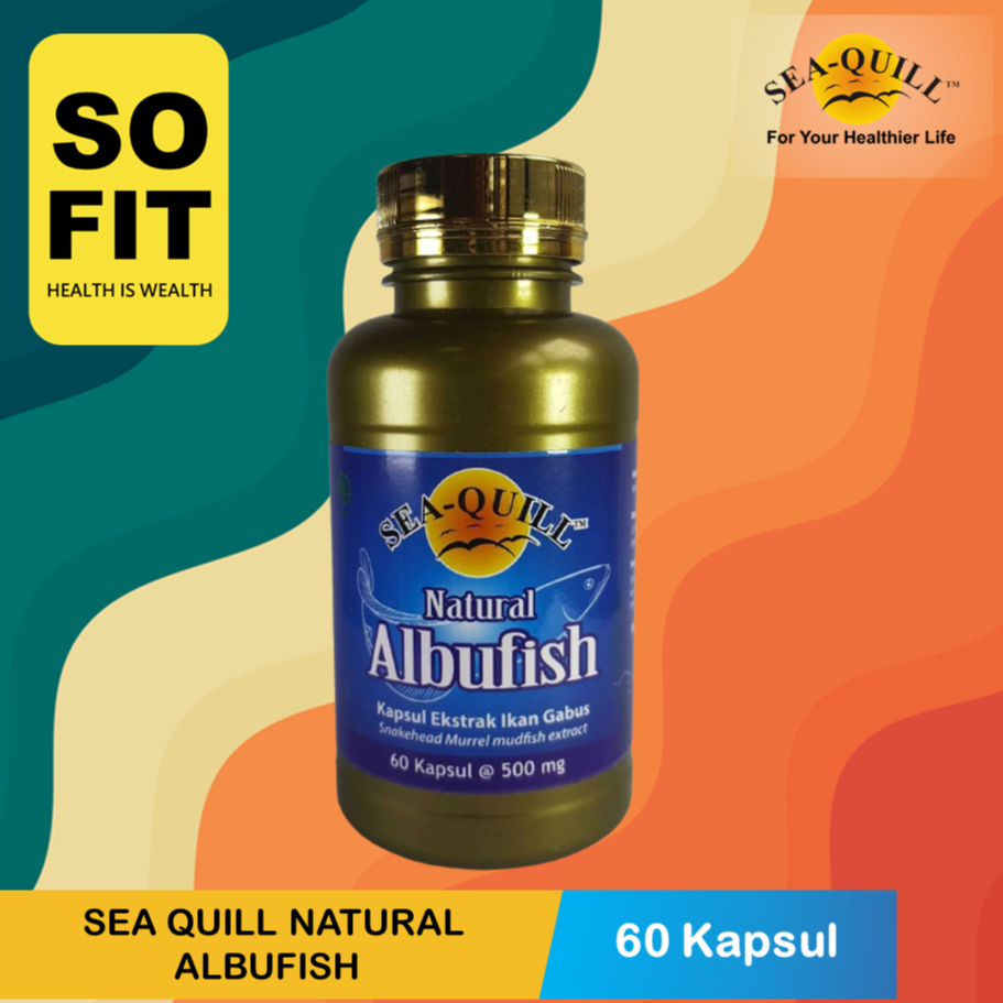 Jual Sea-Quill Natural Albufish 60 Tablet - Sea Quill - Seaquill ...