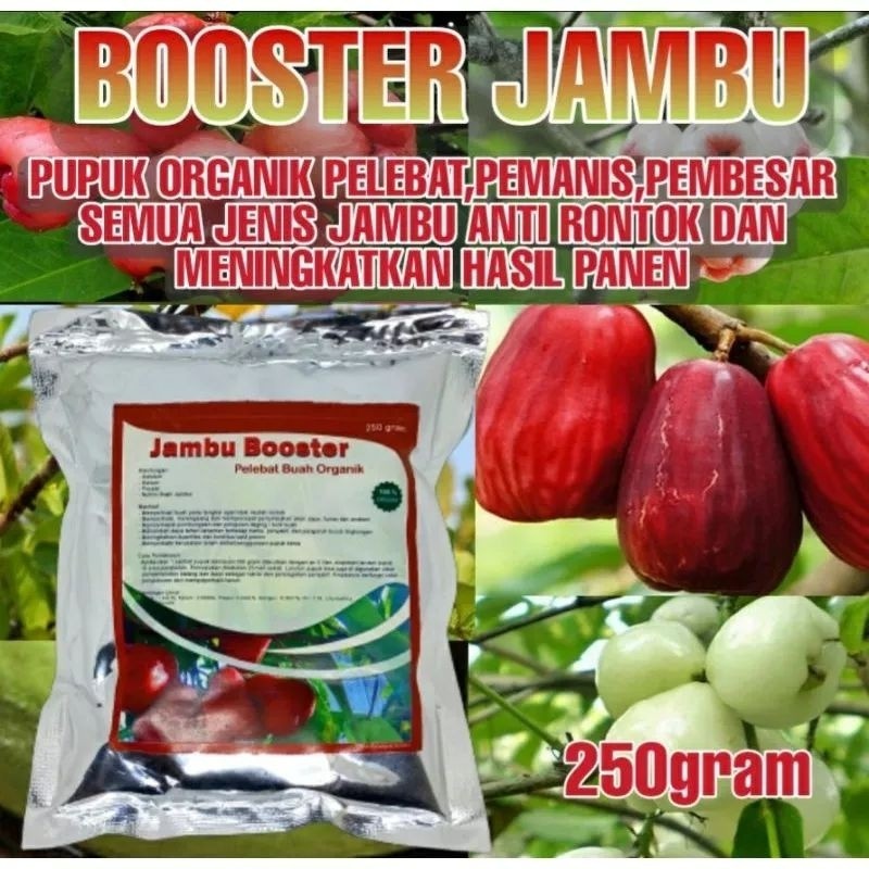 Jual Pupuk Jambu Booster 250 gram - Pupuk Multifungsi Pelebat Buah Jambu | Shopee Indonesia