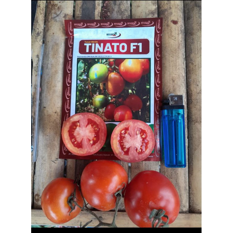 Jual Benih Unggul Tomat Hibrida TINATO F1 Besgrow 10 gram | Shopee ...