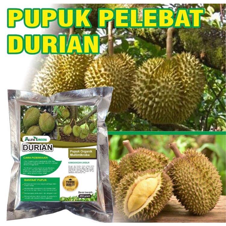 Jual ALFAGREEN-Pupuk Booster Organik Pelebat Buah Pemacu Bunga dan Buah Durian Agar Cepat ...