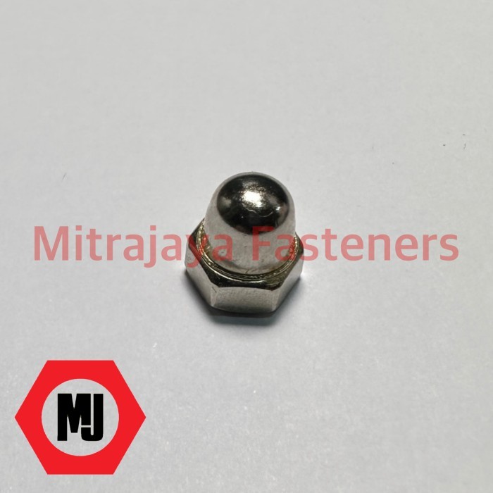 Jual Mur Topi M5 Cap Nut Nikel | Shopee Indonesia