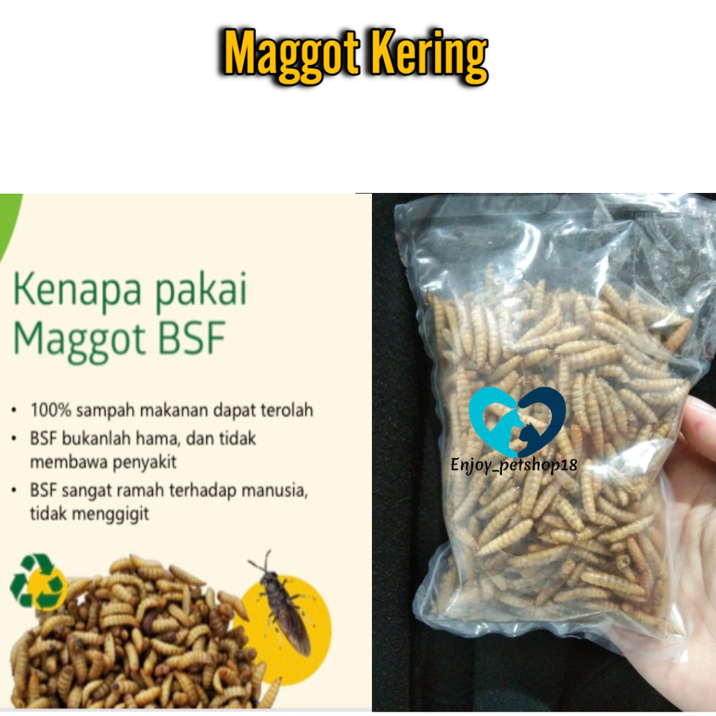 Jual Maggot Kering BSF Pakan Ikan 50gram Kualitas Bagus | Shopee Indonesia