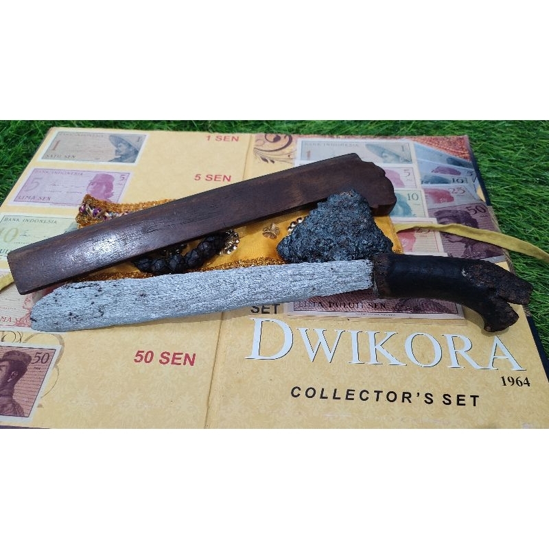 Jual ALAMENG (SINANGKE) ORI SEPUH | Shopee Indonesia