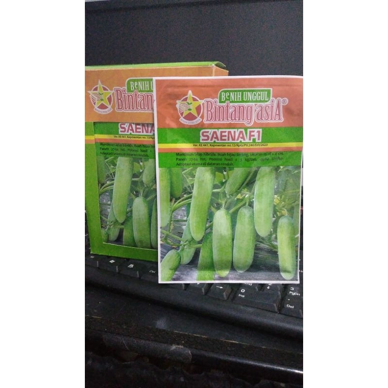 Jual Benih Timun SAENA F1 20 Gram Bintang Asia | Shopee Indonesia