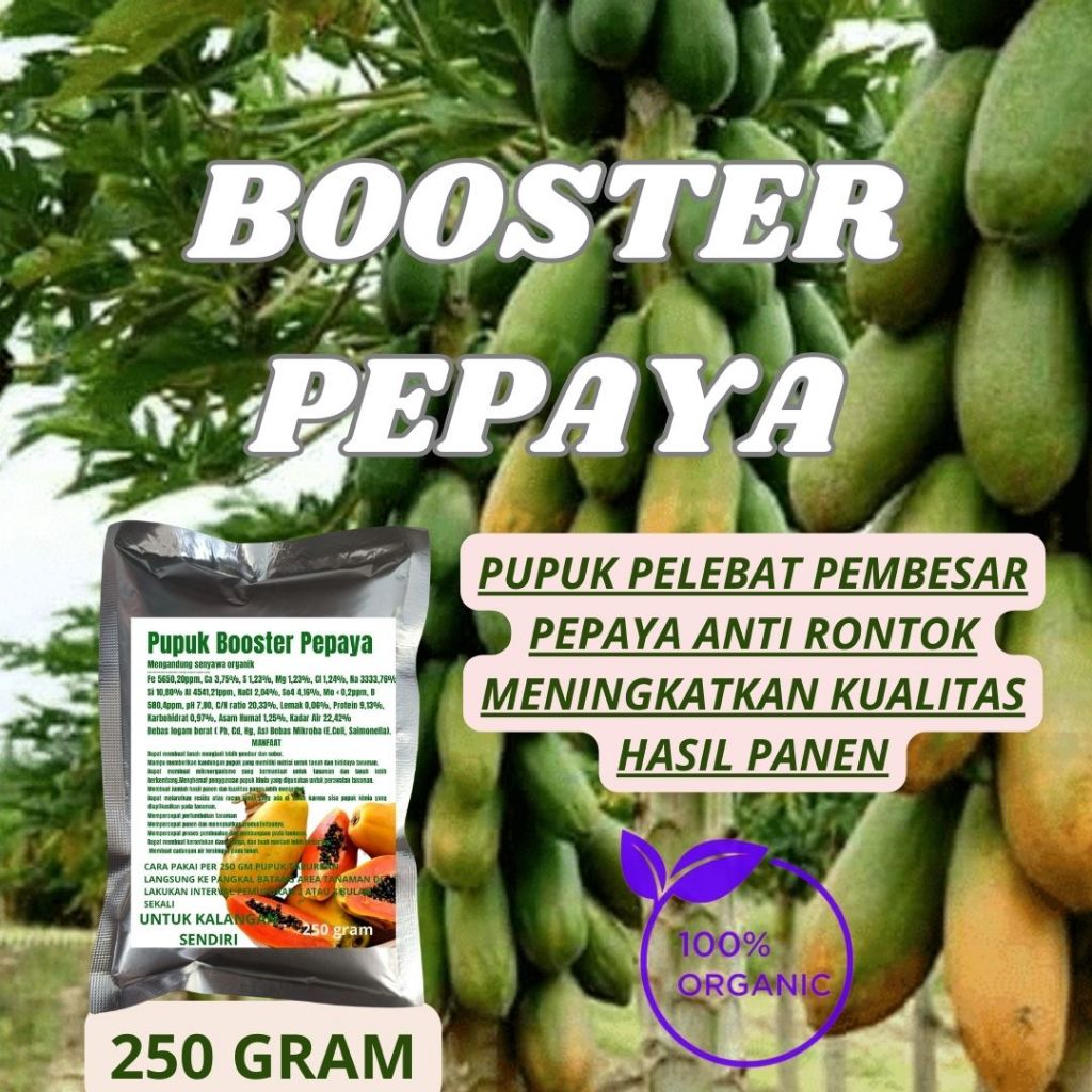 Jual Pupuk Booster Pepaya / Pelebat Buah dan Anti Rontok /Pupuk Pepaya Agar Cepat Berbuah Lebat ...