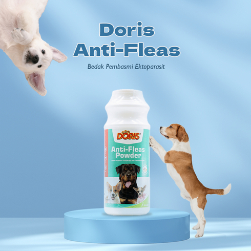 Jual DORIS EXODUS FLEA & TICK POWDER BEDAK KUTU CAT KITTEN | Shopee ...