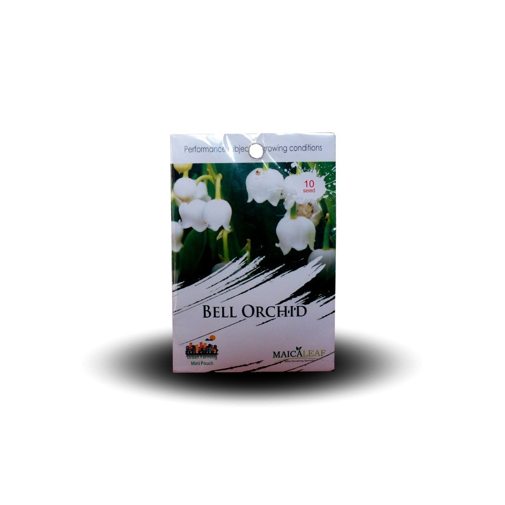 Jual Bell Orchid Anggrek Lonceng - Benih Bunga | Shopee Indonesia