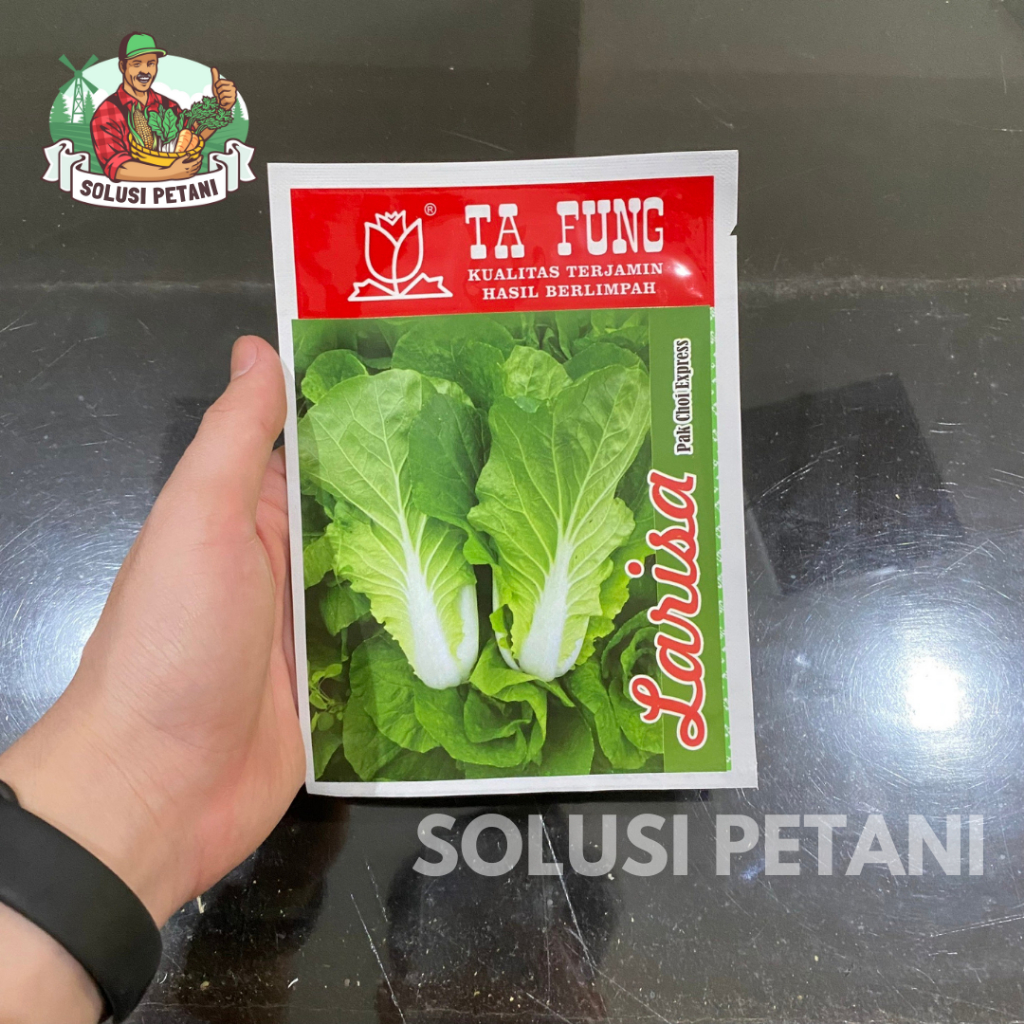 Jual Benih Sawi Larisa Pak Choi Express 10gr (4.200 Biji) Benih Sawi ...