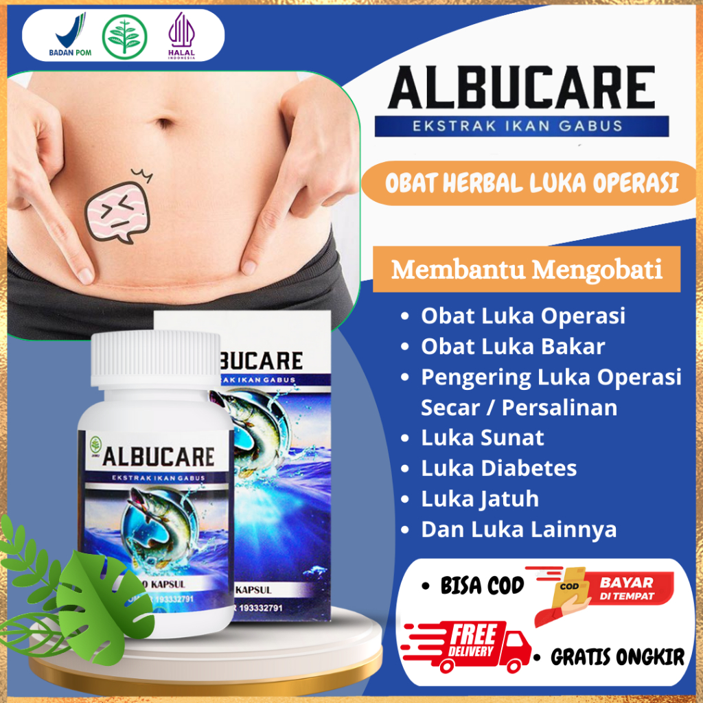 Jual Albucare 100 kapsul Albumin Ekstrak Ikan Gabus Obat Pasca Operasi Pengering Luka Sudah BPOM ...