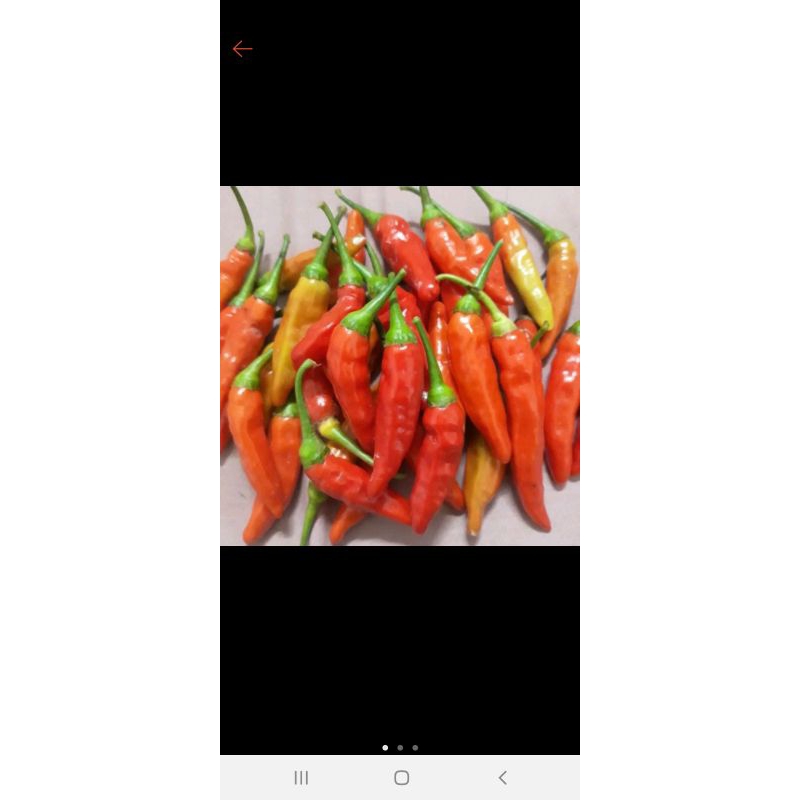 Jual Cabe rawit merah 50gr | Shopee Indonesia