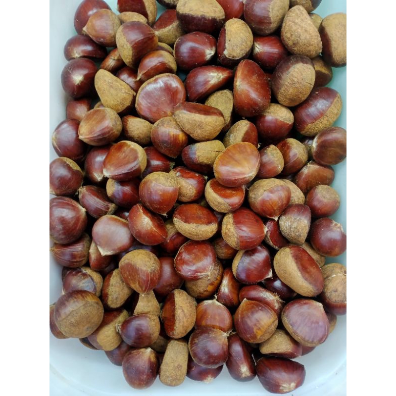 Jual CHESNUT ( KACANG KASTANYE ) 1 kg | Shopee Indonesia