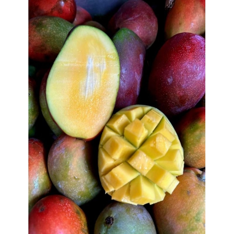 Jual Mangga Brazil / Mangga Grafita 1kg | Shopee Indonesia