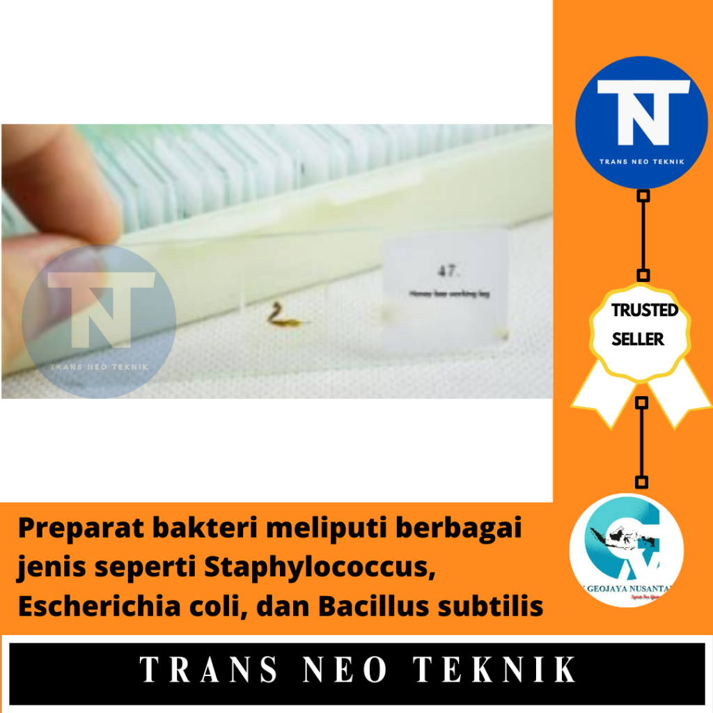 Jual Preparat bakteri meliputi berbagai jenis seperti Staphylococcus ...